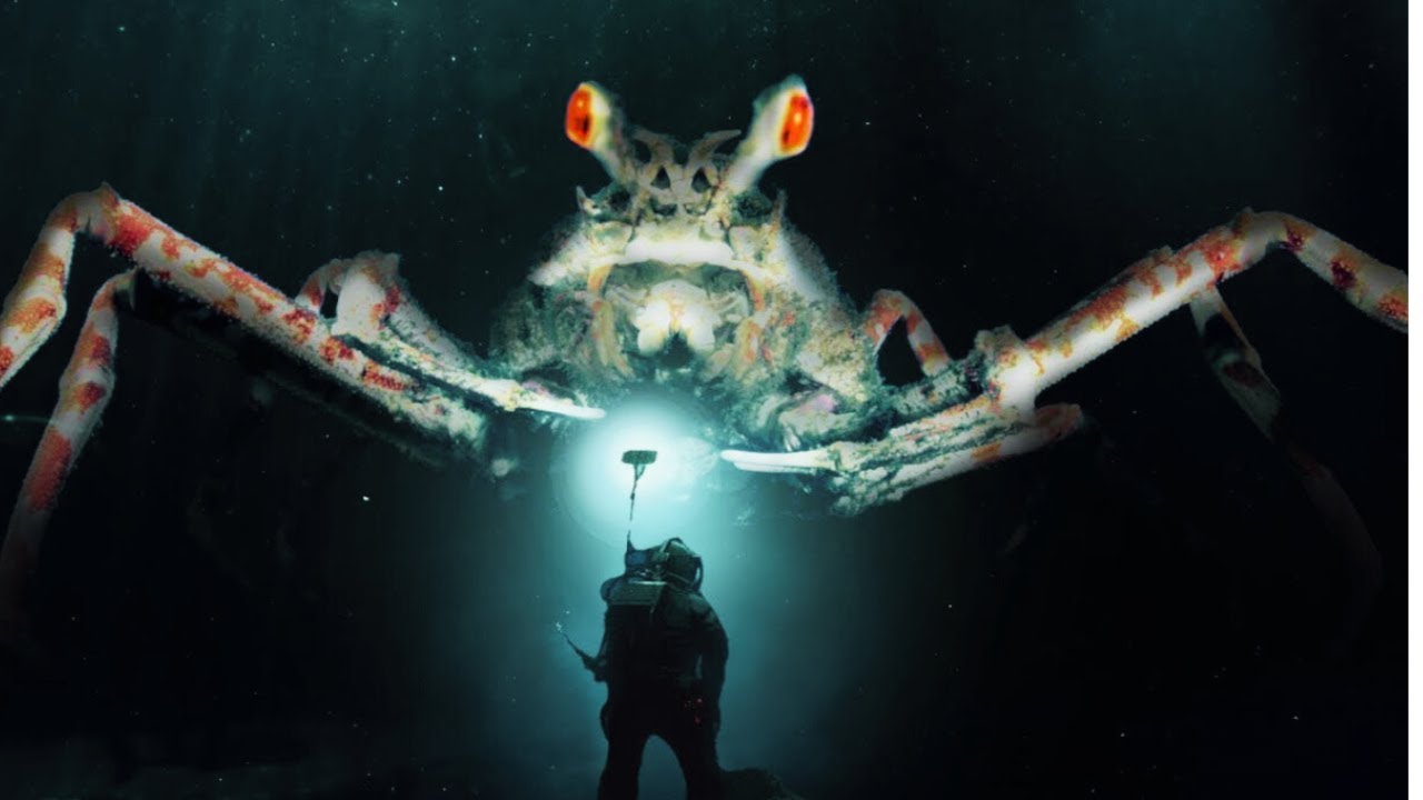 The Most Astonishing Strange Creature You've Never Seen Before! - YouTube