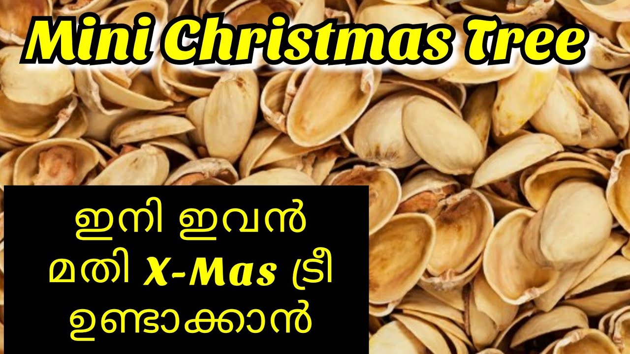 Diy Table top Christmas tree/mini christmas tree using pista shells ...