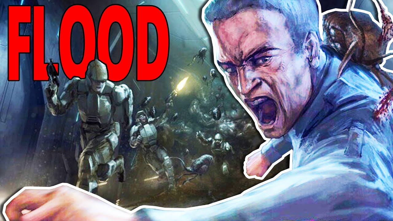 The Disturbing Reality of a Flood Infection - YouTube