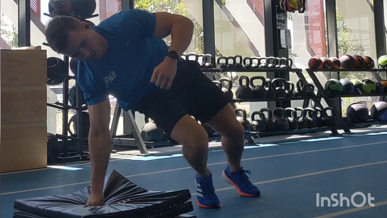 Twisted Bear Punches - YouTube