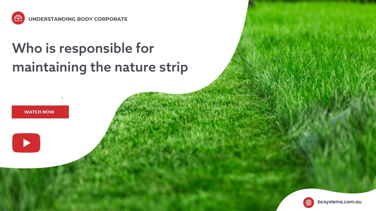 Who is responsible for maintaining the nature strip - YouTube