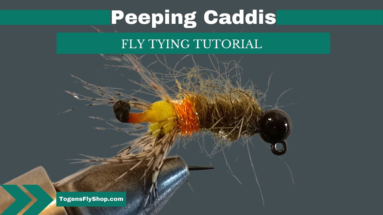 Peeping Caddis - Fly Tying Tutorial - YouTube