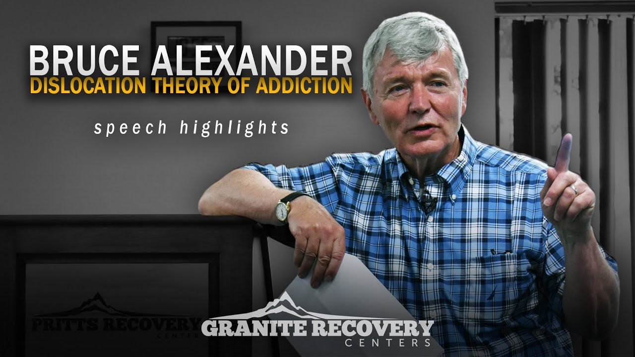 Bruce Alexander - Dislocation Theory Of Addiction - YouTube