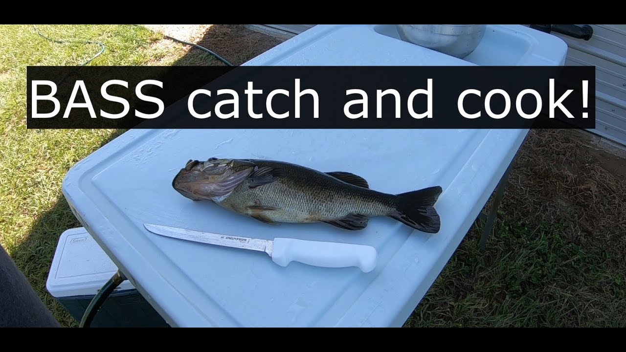 Bass catch and cook! Chilli lime fish! Bass fishing - YouTube