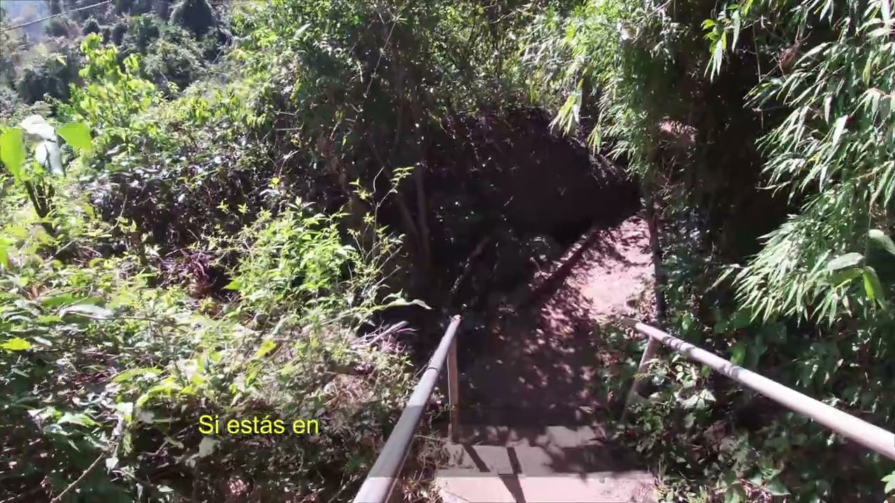 Sendero Macuco sendero en cataratas del Iguazú sendero Macuco VIDEO 4K ...