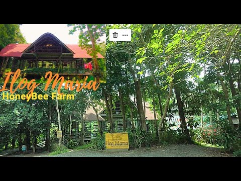 Ilog Maria Honeybee Farm, Silang Cavite, Philippines - YouTube