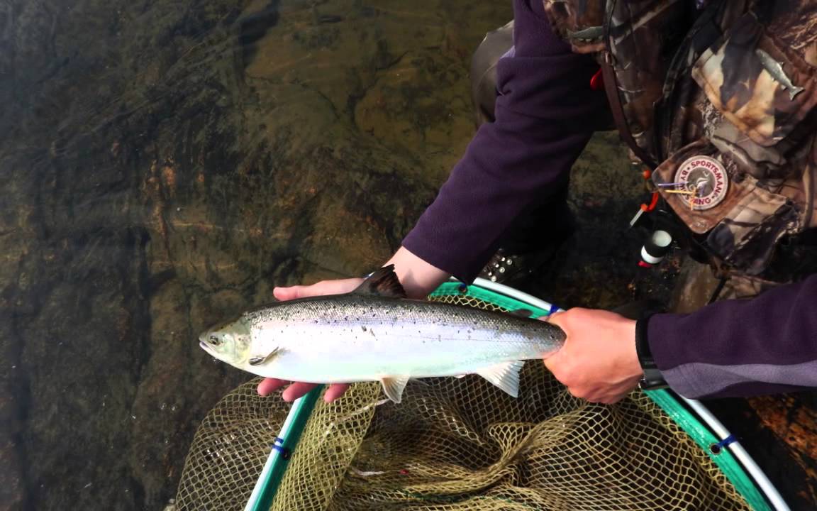 Salmon Fishing Labrador with Atlantic Rivers Outfitting Company 2014 1 ...