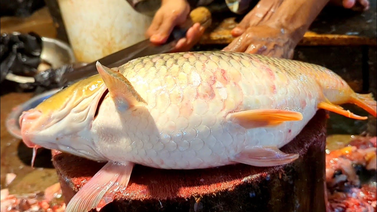 Great Fish Cutting Skills | Amazing Carp Fish Cutting Skills In Local ...
