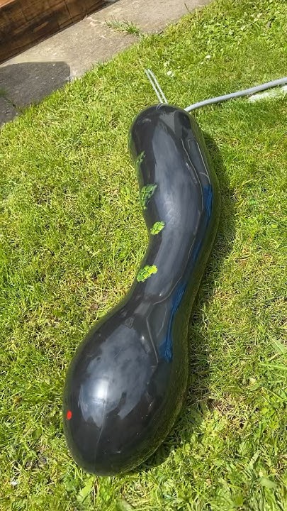 EXPLODING GIANT SNAKE 💥#shorts - YouTube