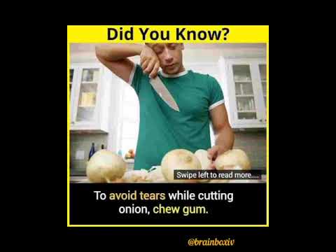 How Onions and Chewing gun relates exposed😎 - YouTube