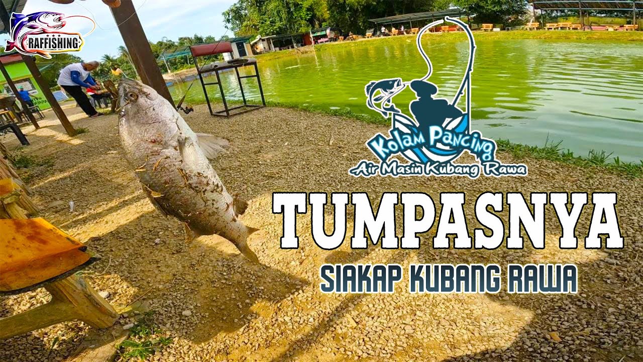Pertama Kali Mancing Kolam !!! | Review Kolam Pancing Air Masin Kubang ...