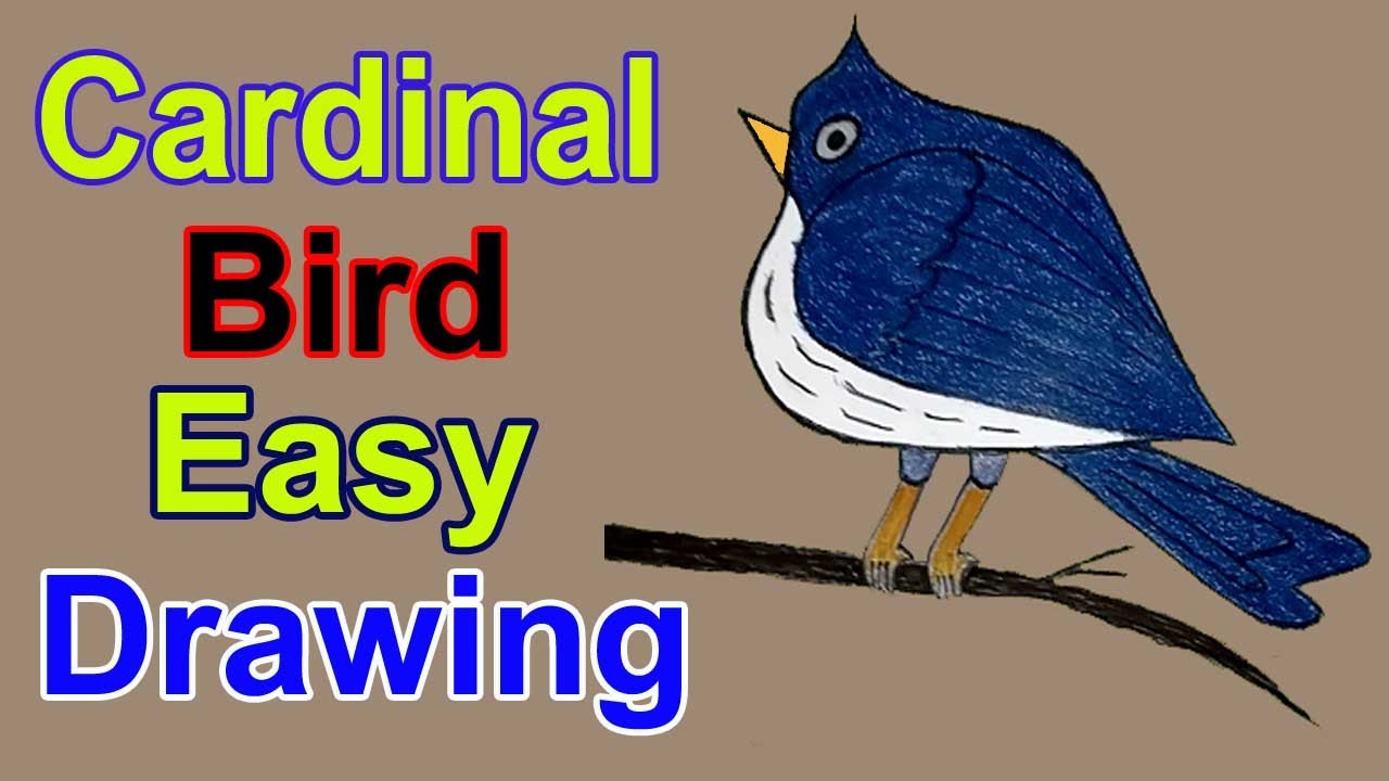 Cardinal bird drawing for kids 🩸 Easy Bulbul bird drawing 🩸 Bird ...