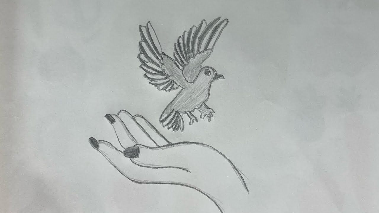 How to Draw a Bird on Hand | Easy Drawing for Kids and Beginners - YouTube