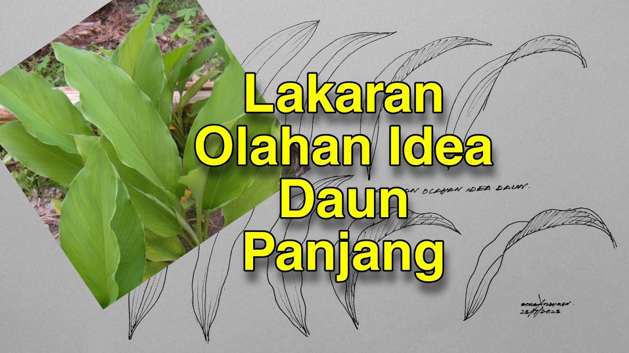 LAKARAN Olahan Idea Daun Bentuk Panjang - YouTube