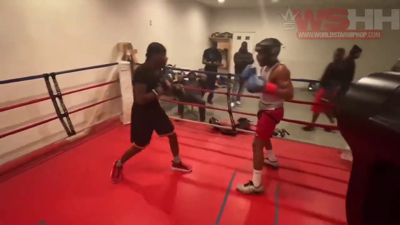 5 Year Old Boxer, Bam Bam, From 10 Years Ago, Is Grown Up & Ready To ...