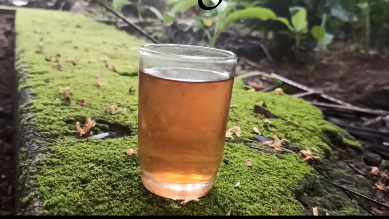 Kattan chaya||black tea|| AESTHETIC ADUKKALA 🥰 - YouTube