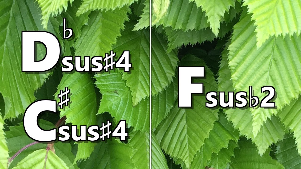 Dbsus #4 (C#sus #4) to Fsus b2 Backing Track - YouTube