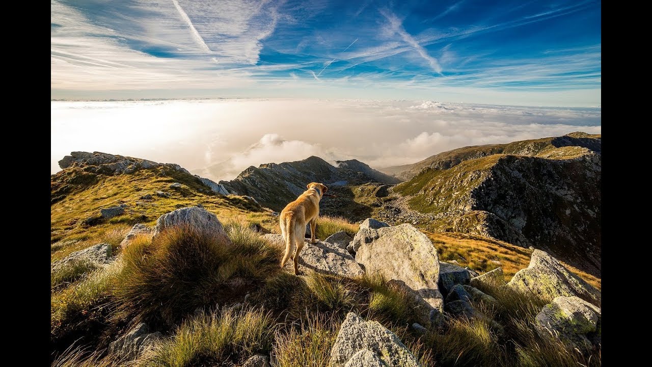 Norwegian Nature In 4K 🇧🇻 Lindiwe Mkhize - Circle of Life/ Lion king ...