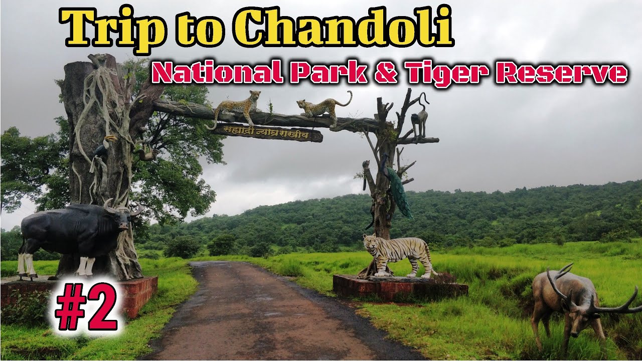 National Park & Tiger Reserve @Chandoli, Maharashtra - YouTube