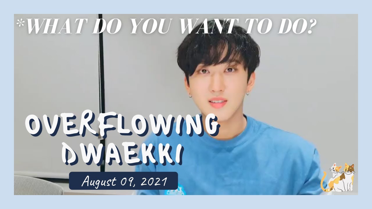 [Changbin Live] 210809 Overflowing Dwaekki: What Do You Want To Do ...