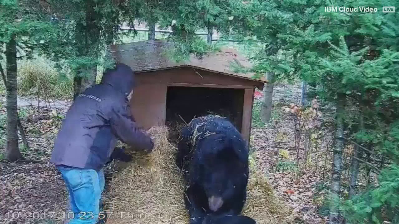 Ted, Sharon, straw, breakfast - 10/26/17 - YouTube