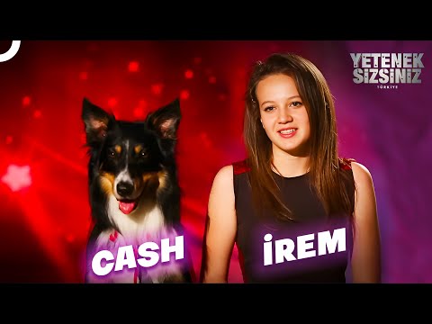 Bu Köpek İnsan Gibi! Gözlerinize İnanamayacaksınız! | Yetenek Sizsiniz Türkiye