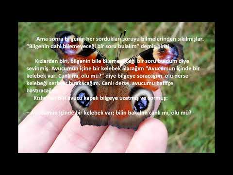 AVUCUNUZDAKİ KELEBEK