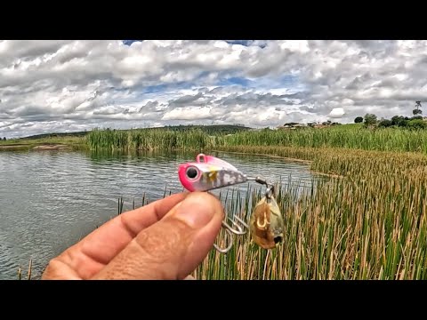 TESTEI O MONSTRINHO DA YARA, LIttle Spin. Acampamento e pescaria