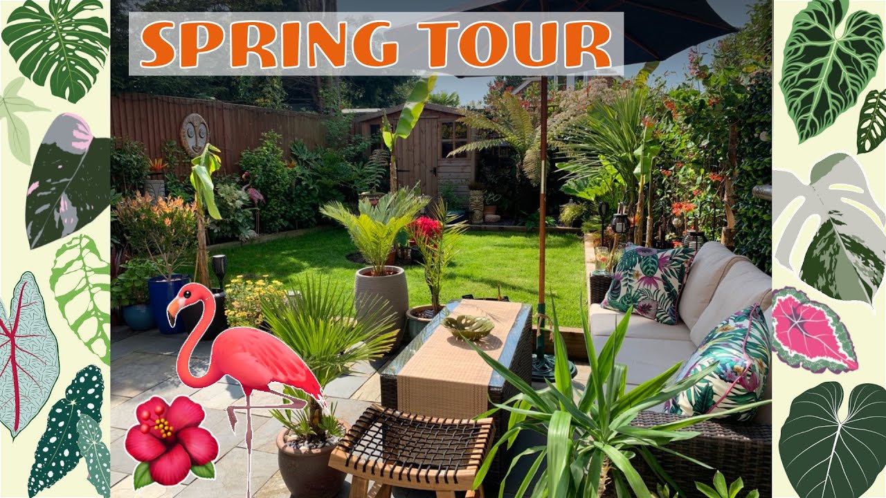 Tropical Garden Update! 🌺🏝🦩🍹🌿🍍 - YouTube