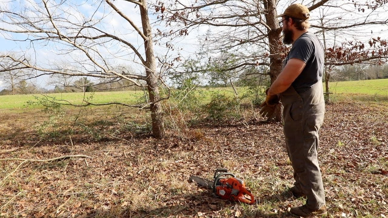 Cutting trees and brush on our farm (#8) - YouTube