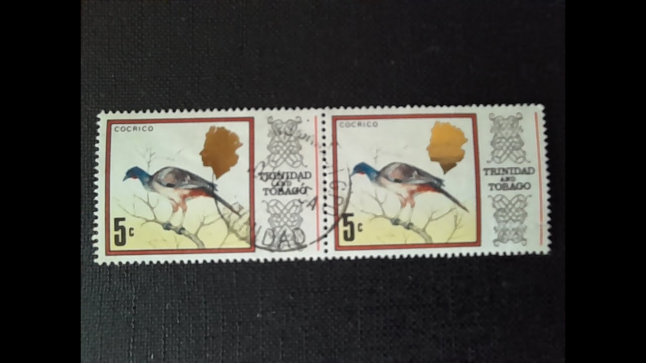 Cocrico bird from Trinidad & Tobago 1969 postal stamp seen on digital ...