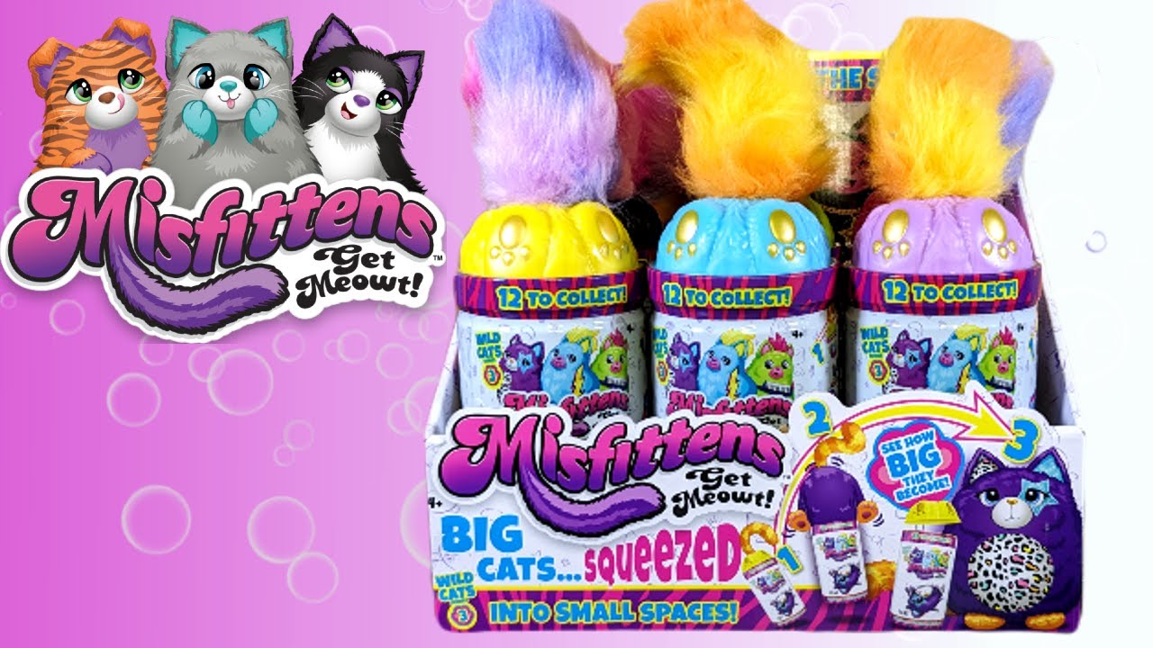 Misfittens Wild Cats! Let Meowt Cat Tubes Series 3 - Round 3 | Adult Collector Review - YouTube