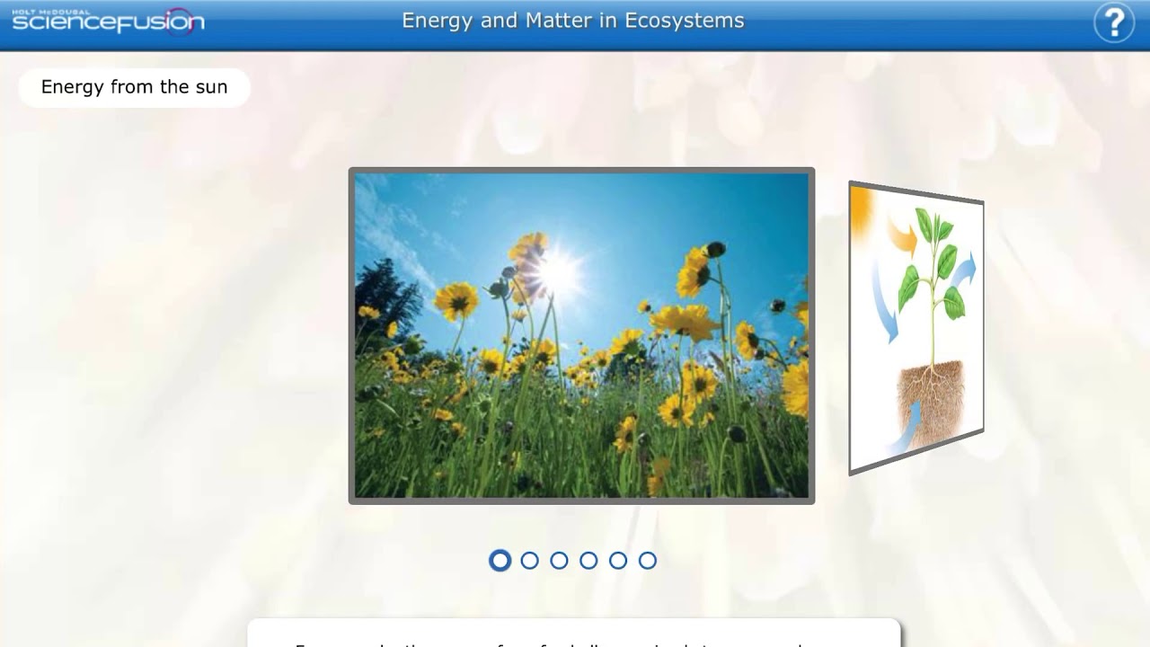 Energy and matter in ecosystems lesson 3 - YouTube