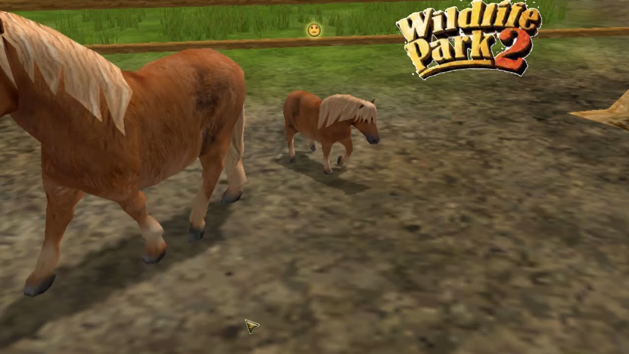 Wildlife Park 2 Pony Breeding HD - YouTube
