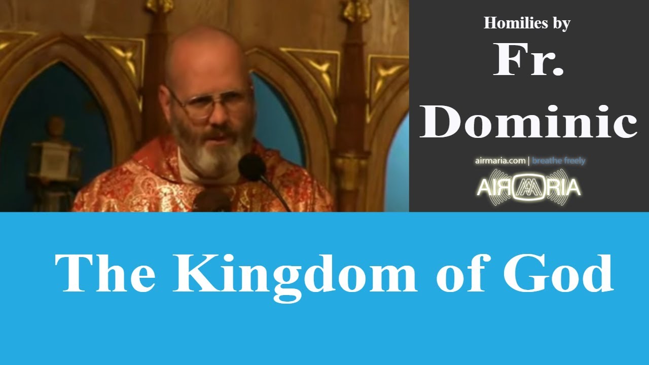 The Kingdom of God - Nov 14 - Homily - Fr Dominic - YouTube