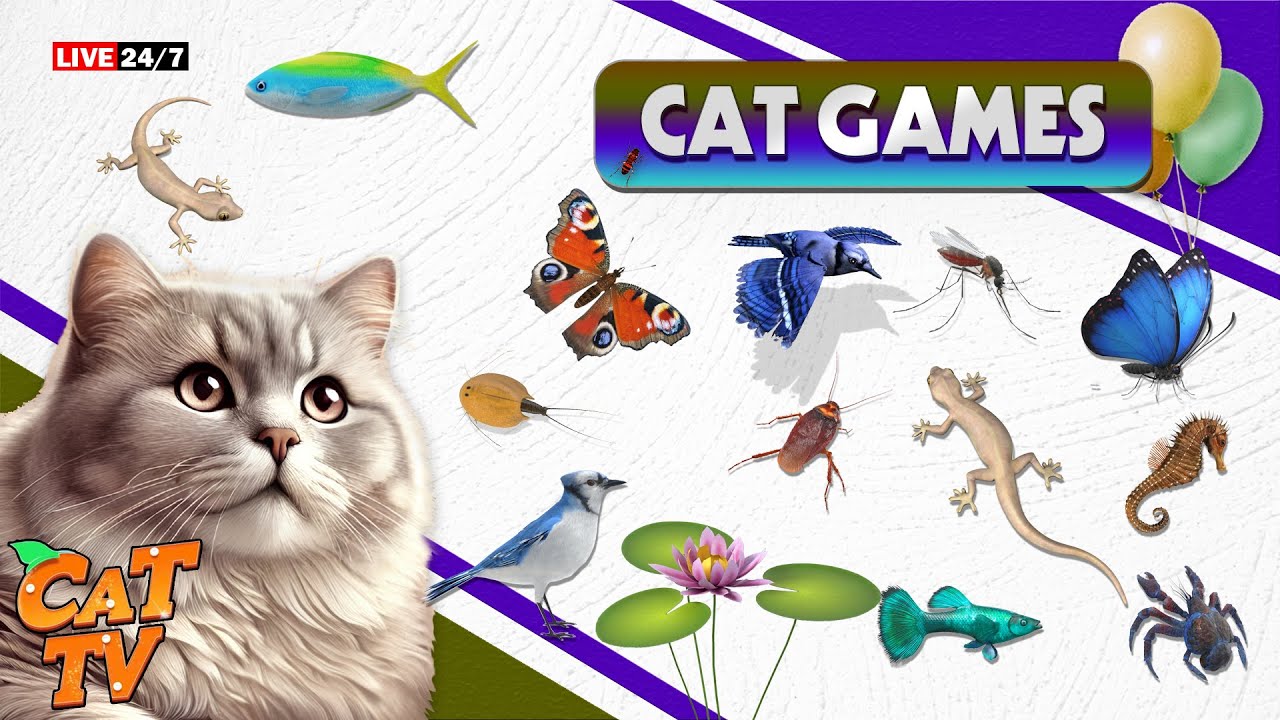 🔴 24/7 LIVE: CAT GAMES 🐱 NON-STOP FUN WITH BUGS, BEETLES, & INSECTS VOL ...