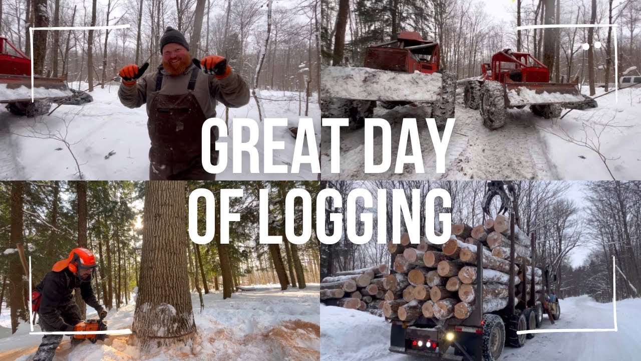 Great day of logging! - YouTube