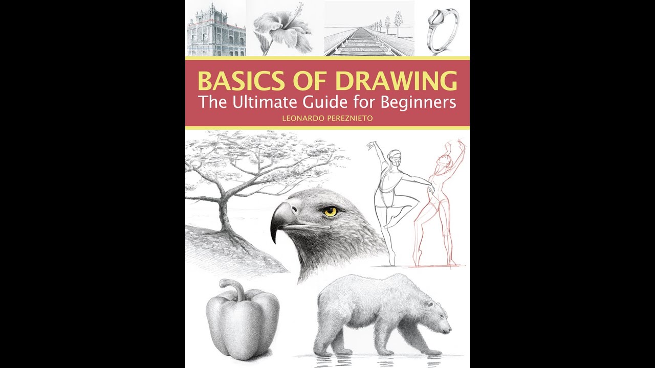 THE BASICS OF DRAWING - THE ULTIMATE GUIDE FOR BEGINNERS - Book Trailer ...