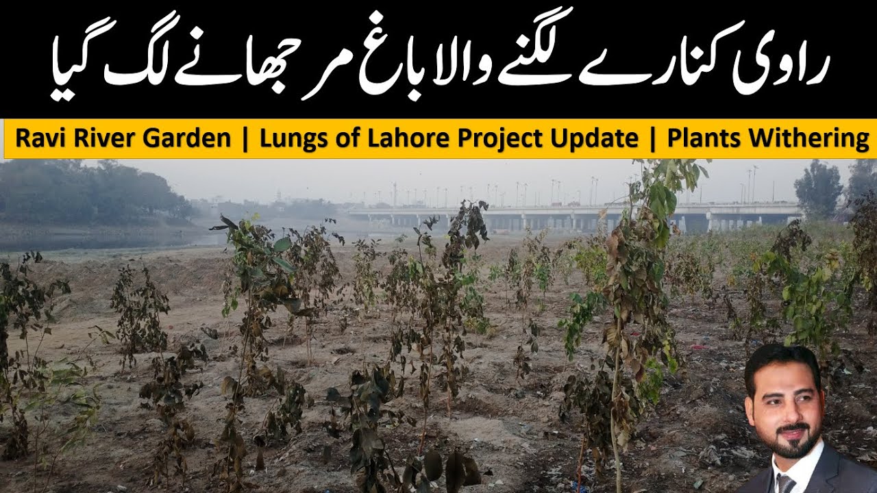 Ravi River Garden | Lungs of Lahore Project Update | Plants Withering ...