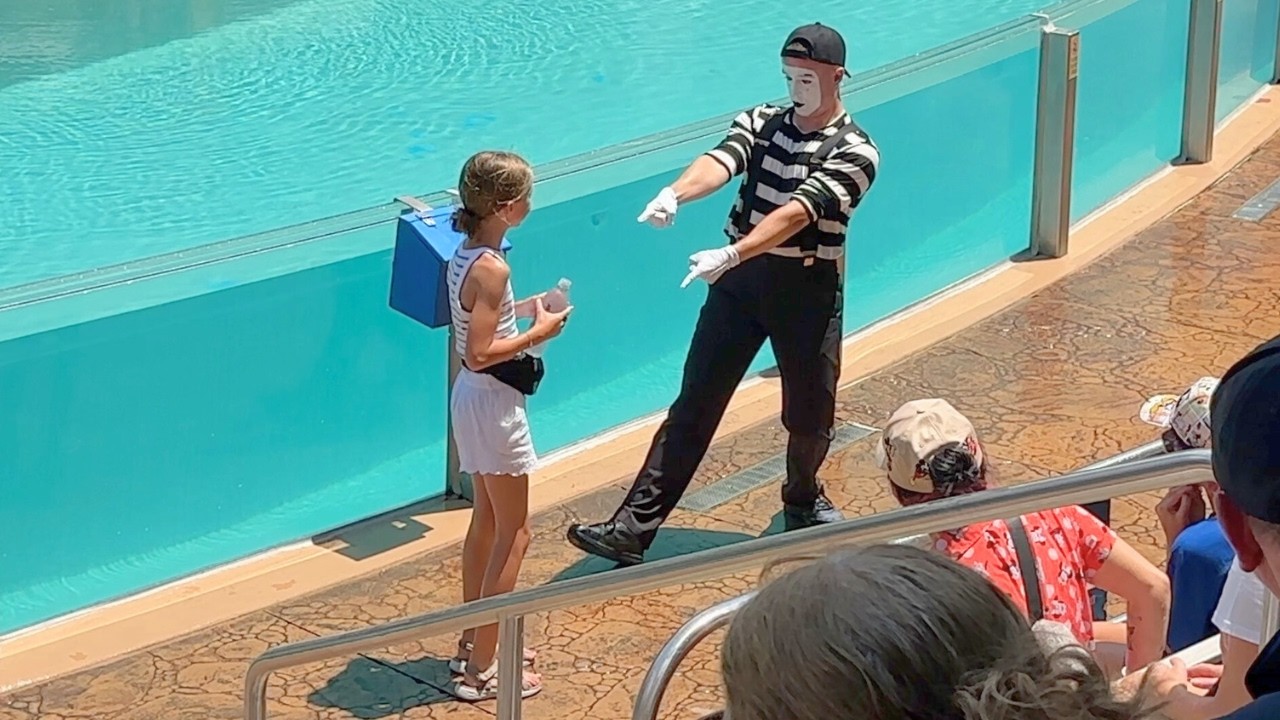 Meet Tyler: SeaWorld's Hilarious New Mime You Can't Miss! - YouTube
