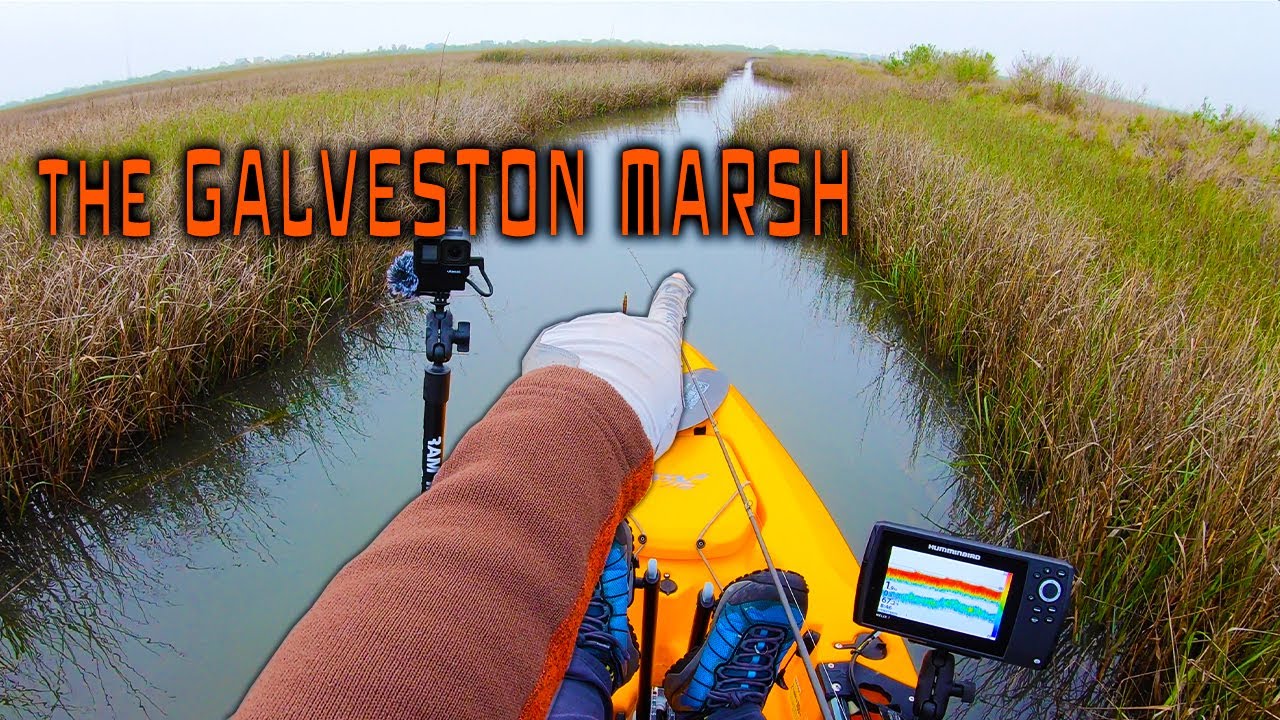 MONSTER FISH in a Very Narrow Ditch (Galveston TX) - YouTube