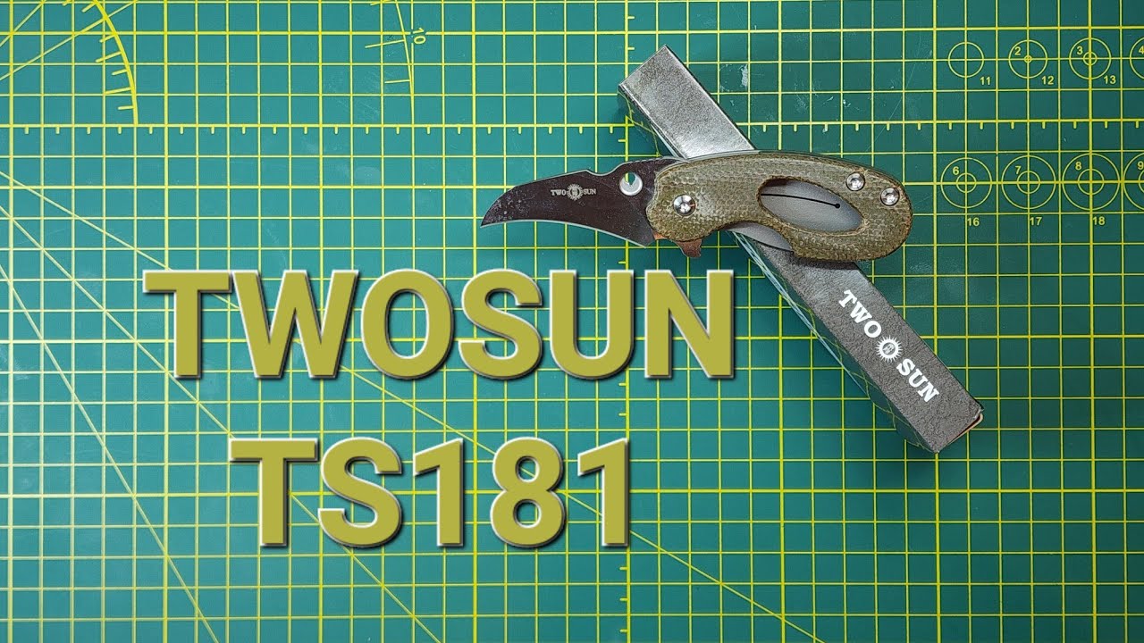 TWOSUN TS181 MINI MICRO KNIFE MICARTA TITANIUM HANDLE 14C28N, Excellent ...