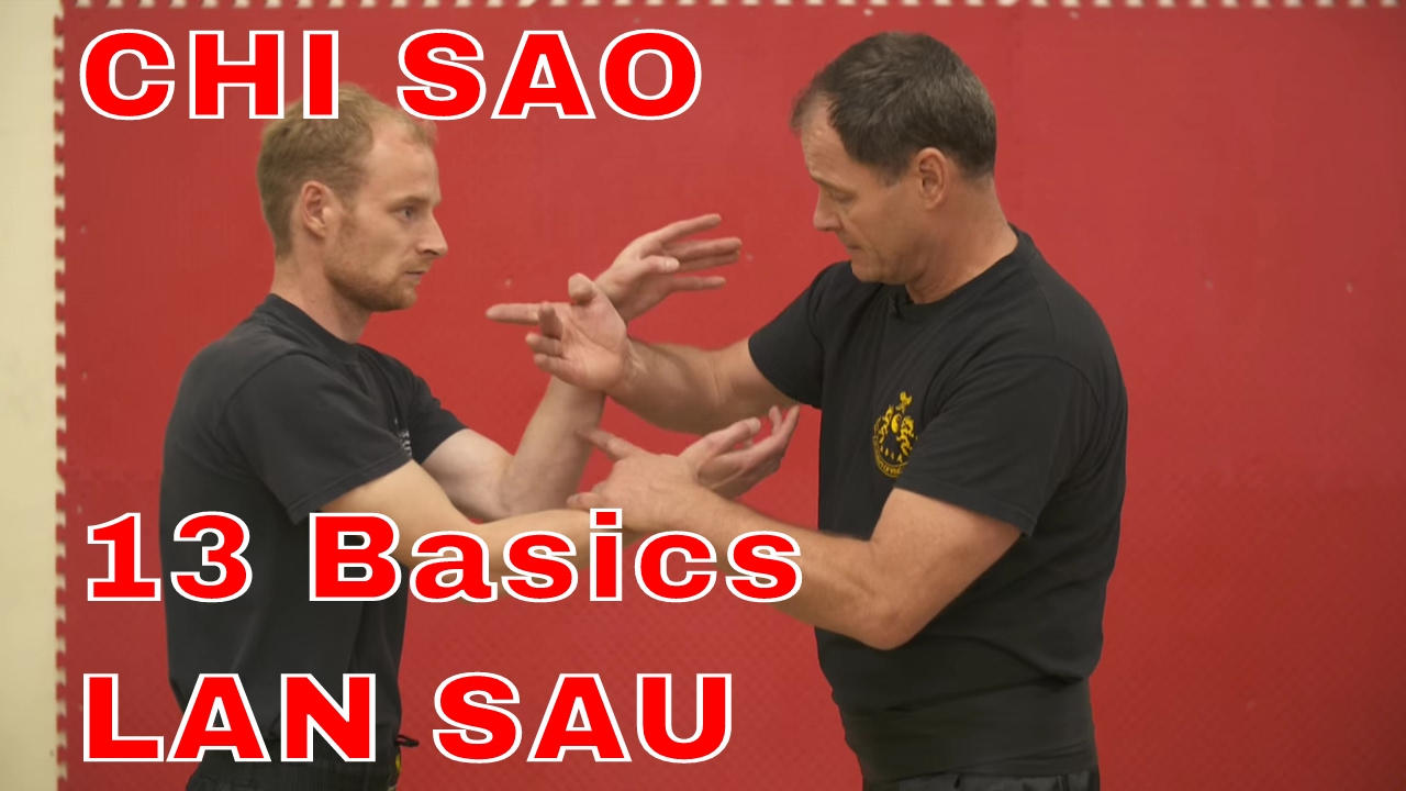 Chi Sao: 13 Basics Pt 9 + 10 w Lan Sau - YouTube