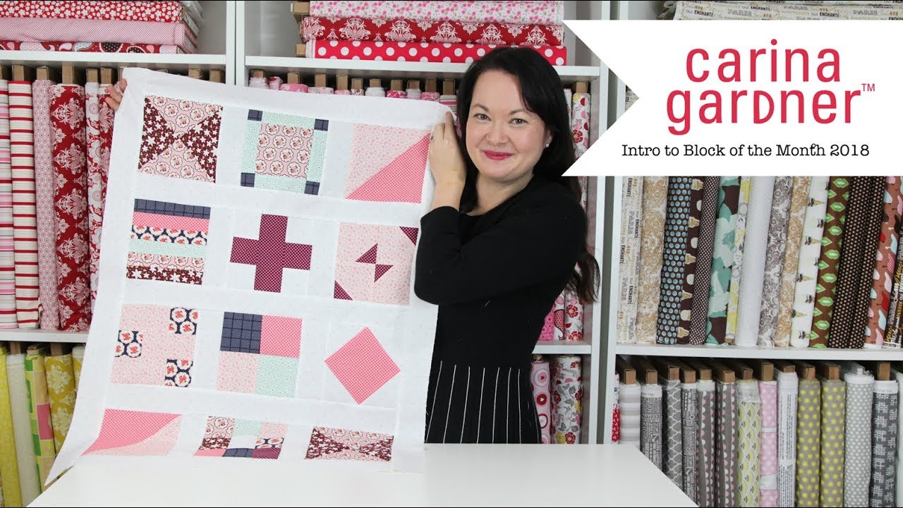 Carina Gardner's 2018 Block of the Month Intro Video - YouTube