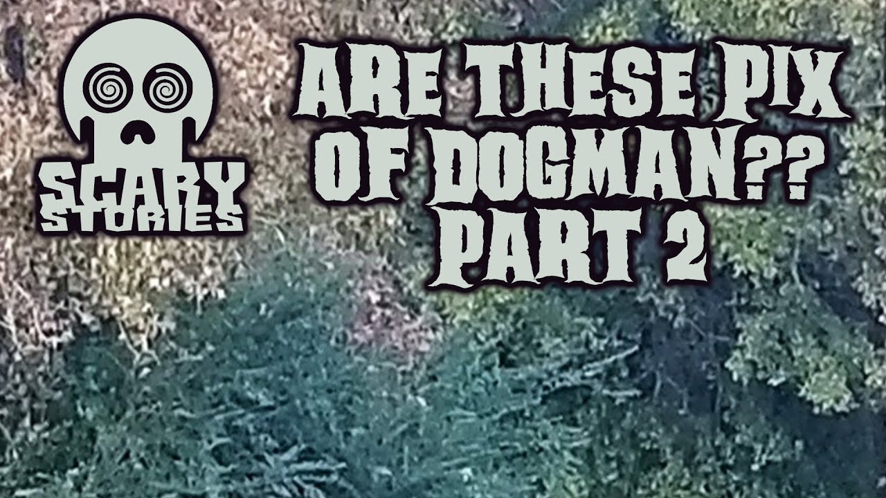 Viewer's Alleged Dogman Photos Part 2 - YouTube