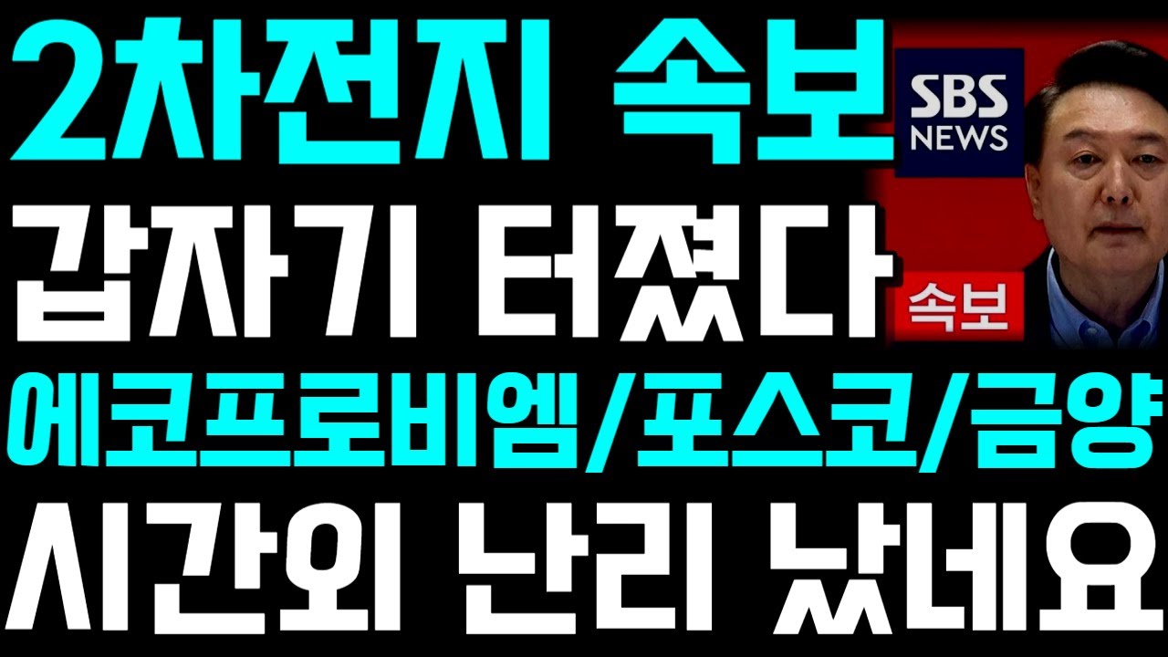 2차전지 긴급속보 에코프로비엠 포스코홀딩스 금양 Sbs뉴스 실시간 속보 뉴스 삼성전자 서정덕tv 박순혁 에코프로 주식 에코프로비엠주가전망 기봉이