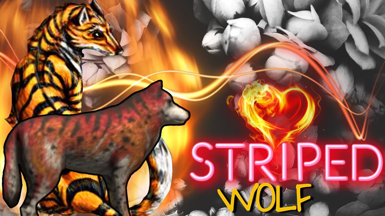 The WOLF simulator | Striped Wolf new skin! 🐺🧡🖤 #shorts - YouTube