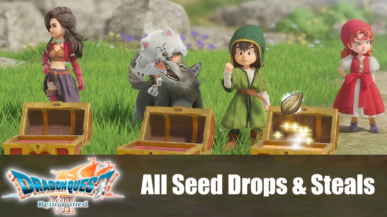 Stat Seed Farming Guide: Where to Get Seeds - Dragon Quest VII ...