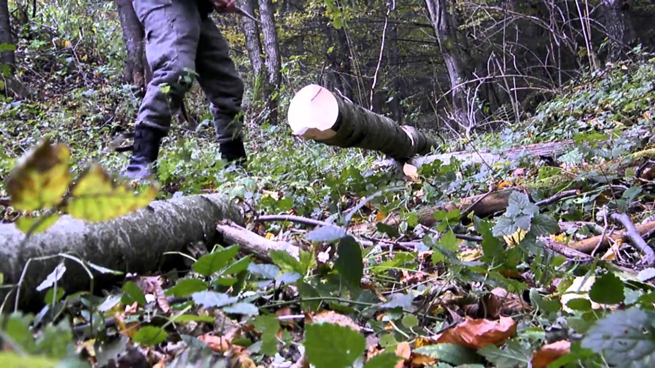 Bucking a small ash tree with axe (30.10.2010) - YouTube
