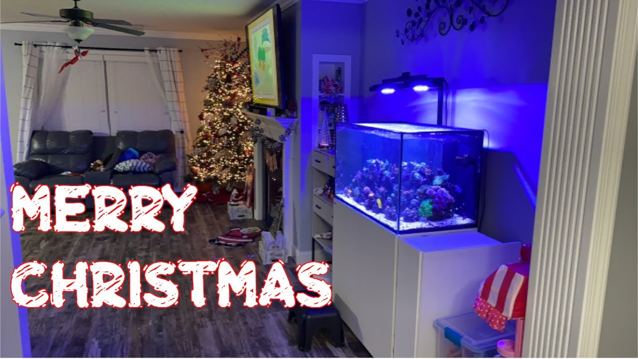 Red Sea Reefer 250 | MERRY CHRISTMAS FROM MY FAMILY TO YOURS!!!!! - YouTube